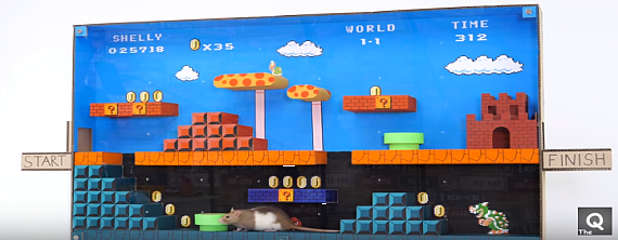 Super Mario Bros. Maze for a Rat! | AUSRETROGAMER